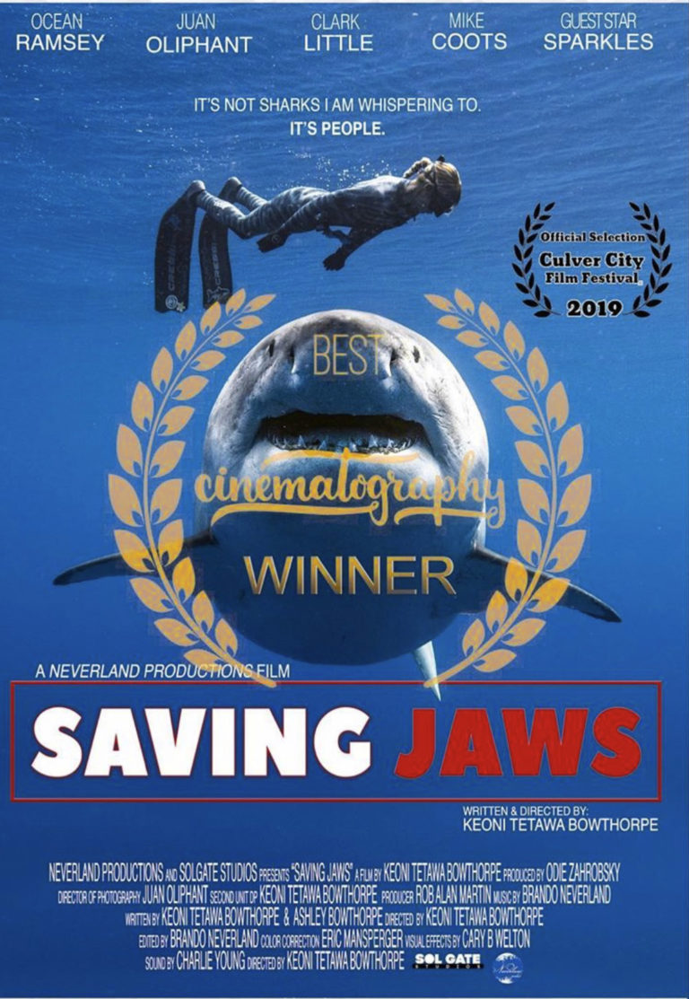 L'Amour Photography and Video - Oahu Hawaii Wedding blog